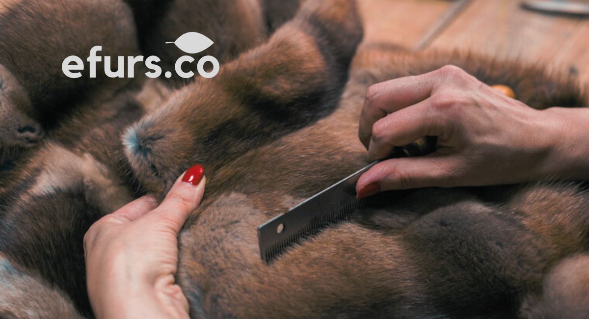 Fur and Leather Care: Cleaning and Repairs | eFurs